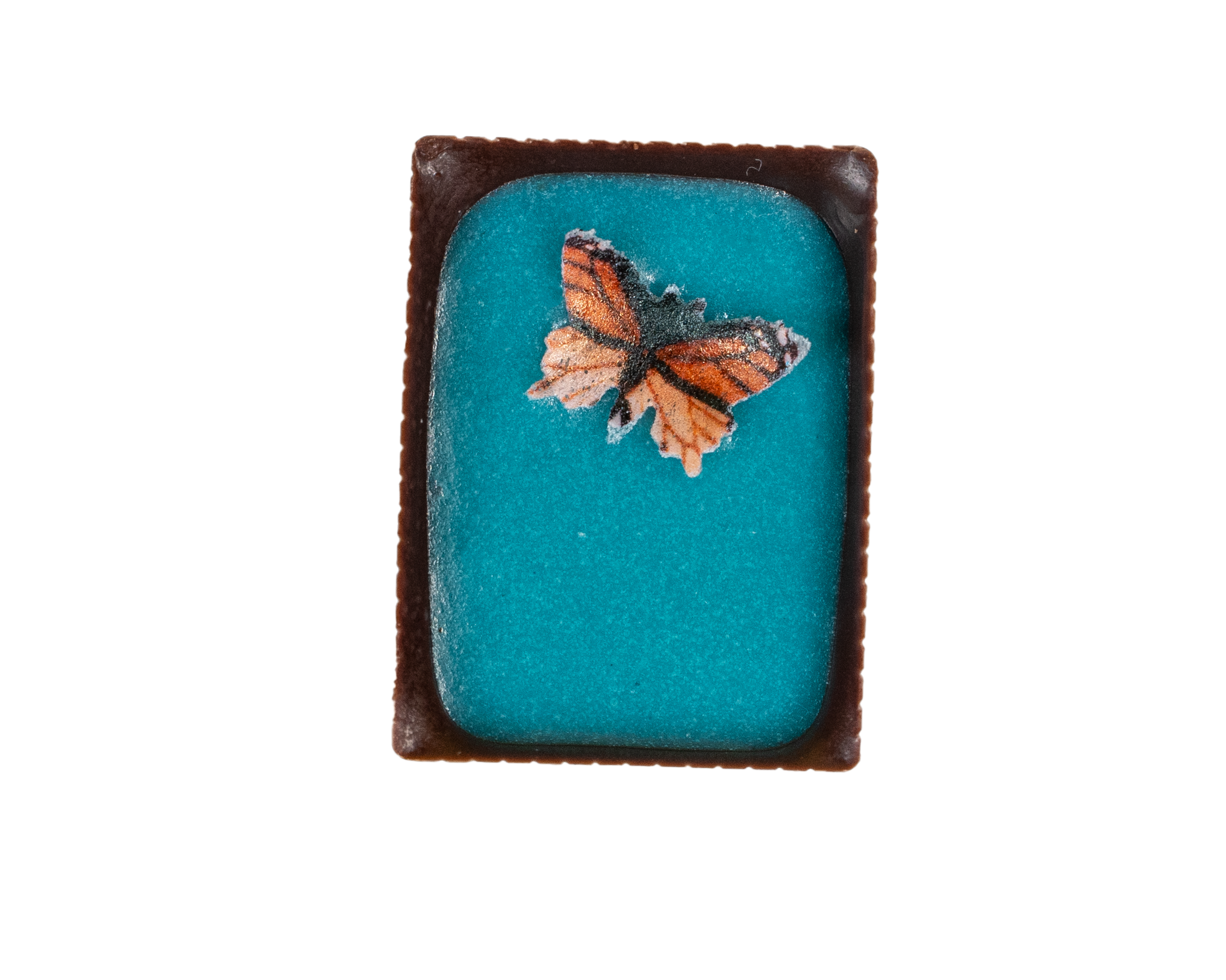 Spring Bon of the Season: Metamorphic – Bon Bon Bon