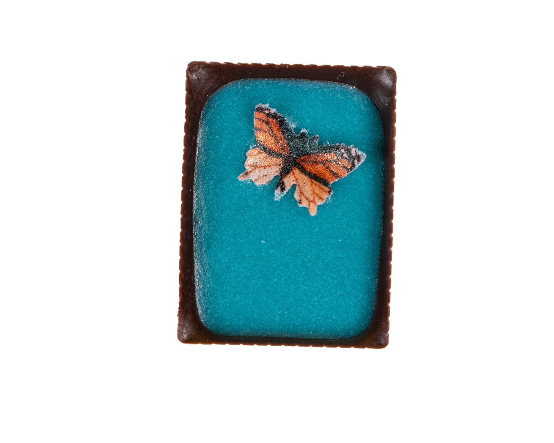 Spring Bon of the Season: Metamorphic – Bon Bon Bon