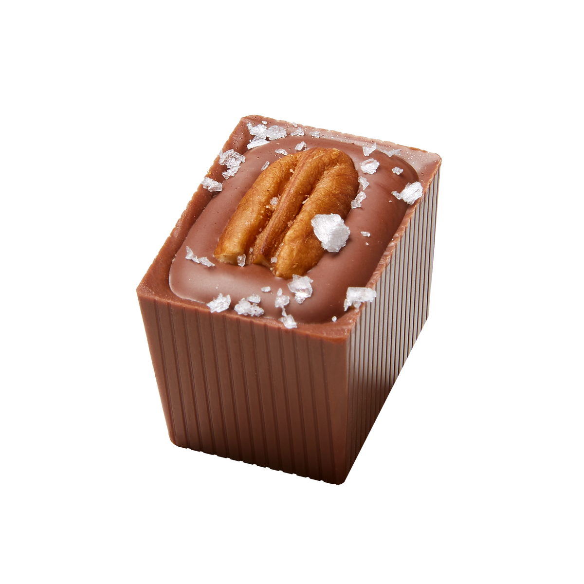 Swimming Turtle – Bon Bon Bon