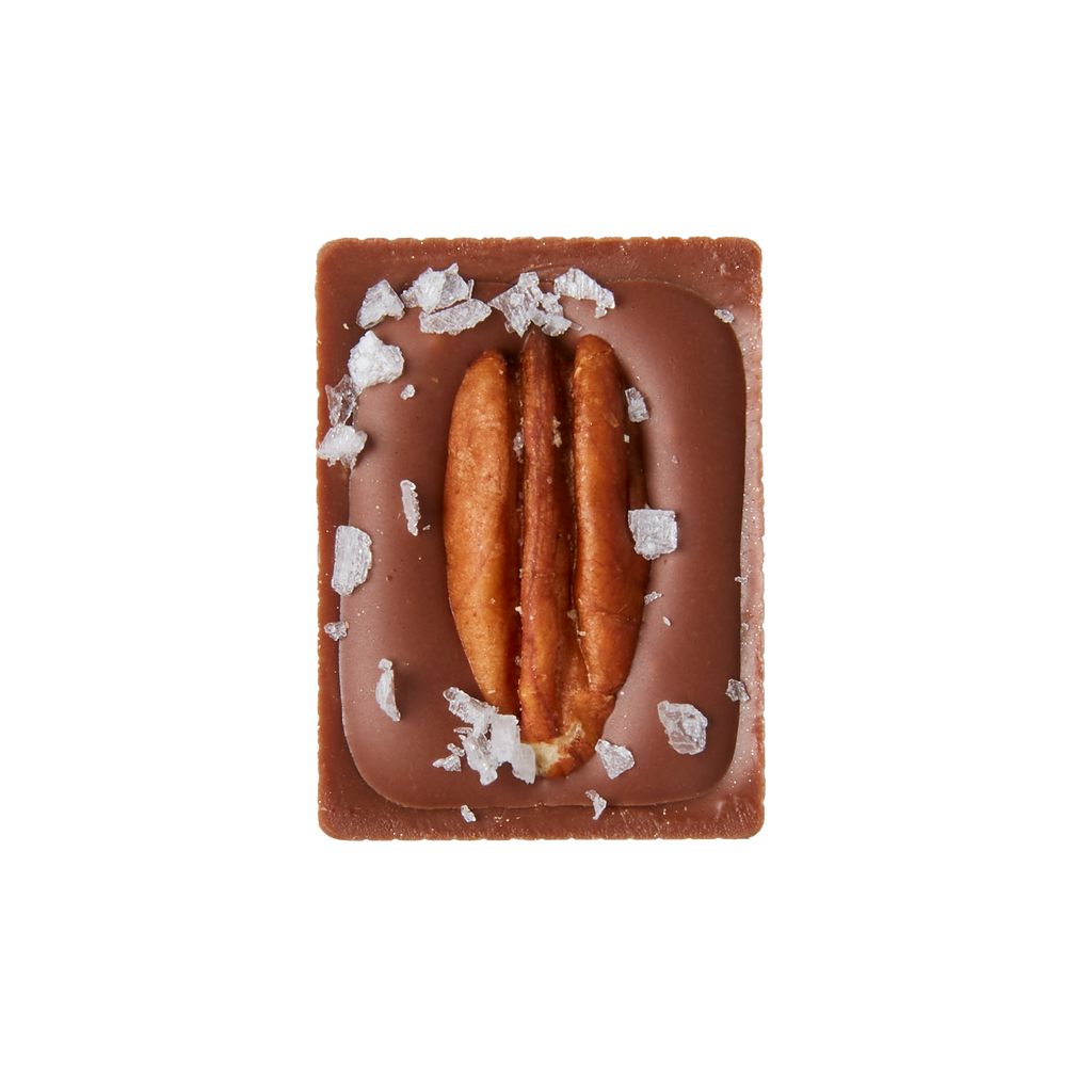 Swimming Turtle – Bon Bon Bon