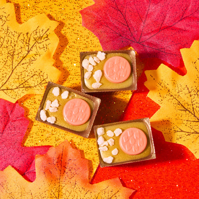 Bon Bon Bon Chocolate