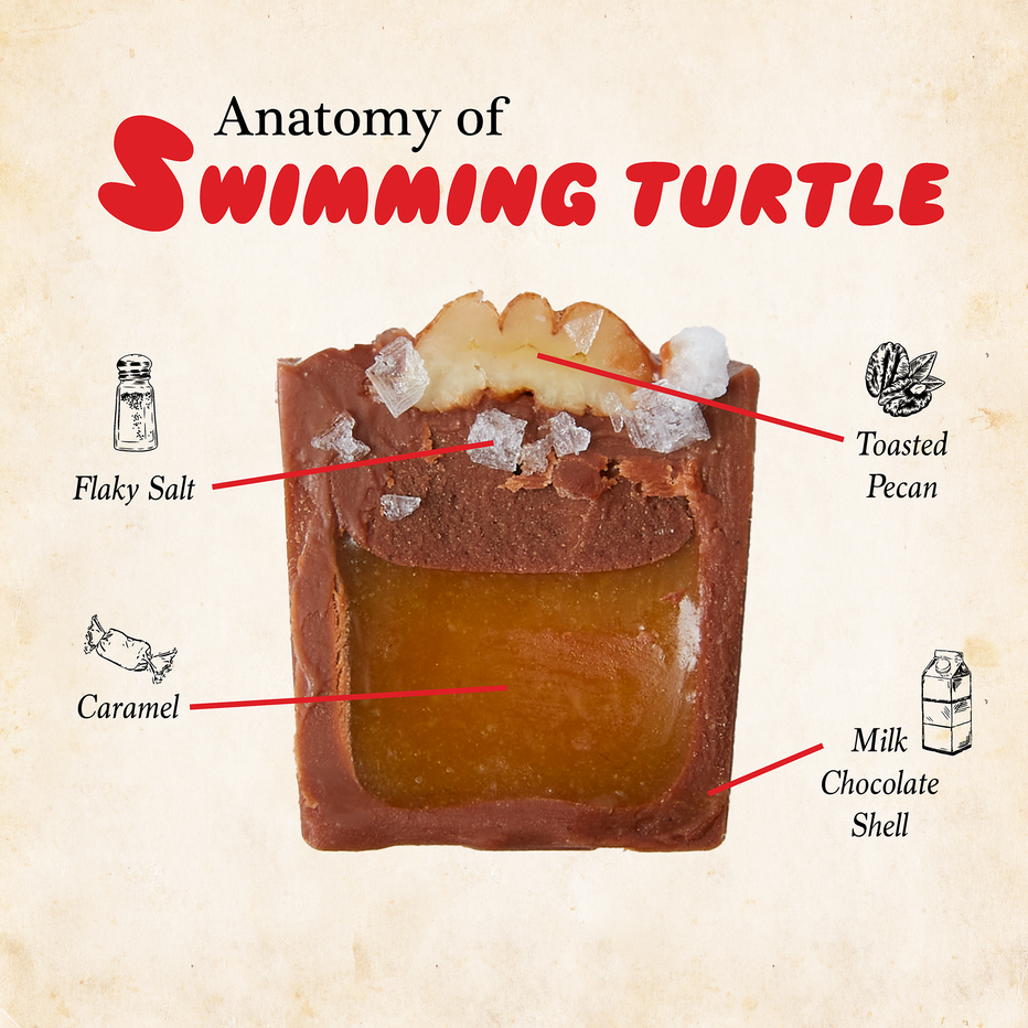 Swimming Turtle – Bon Bon Bon