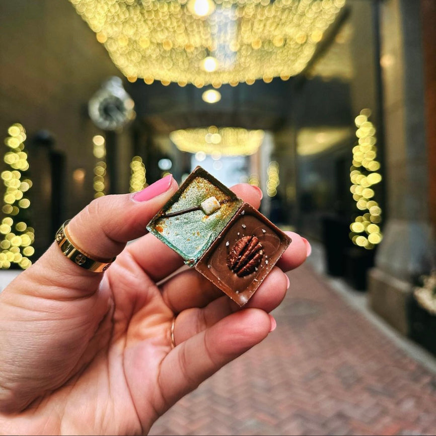 Swimming Turtle – Bon Bon Bon