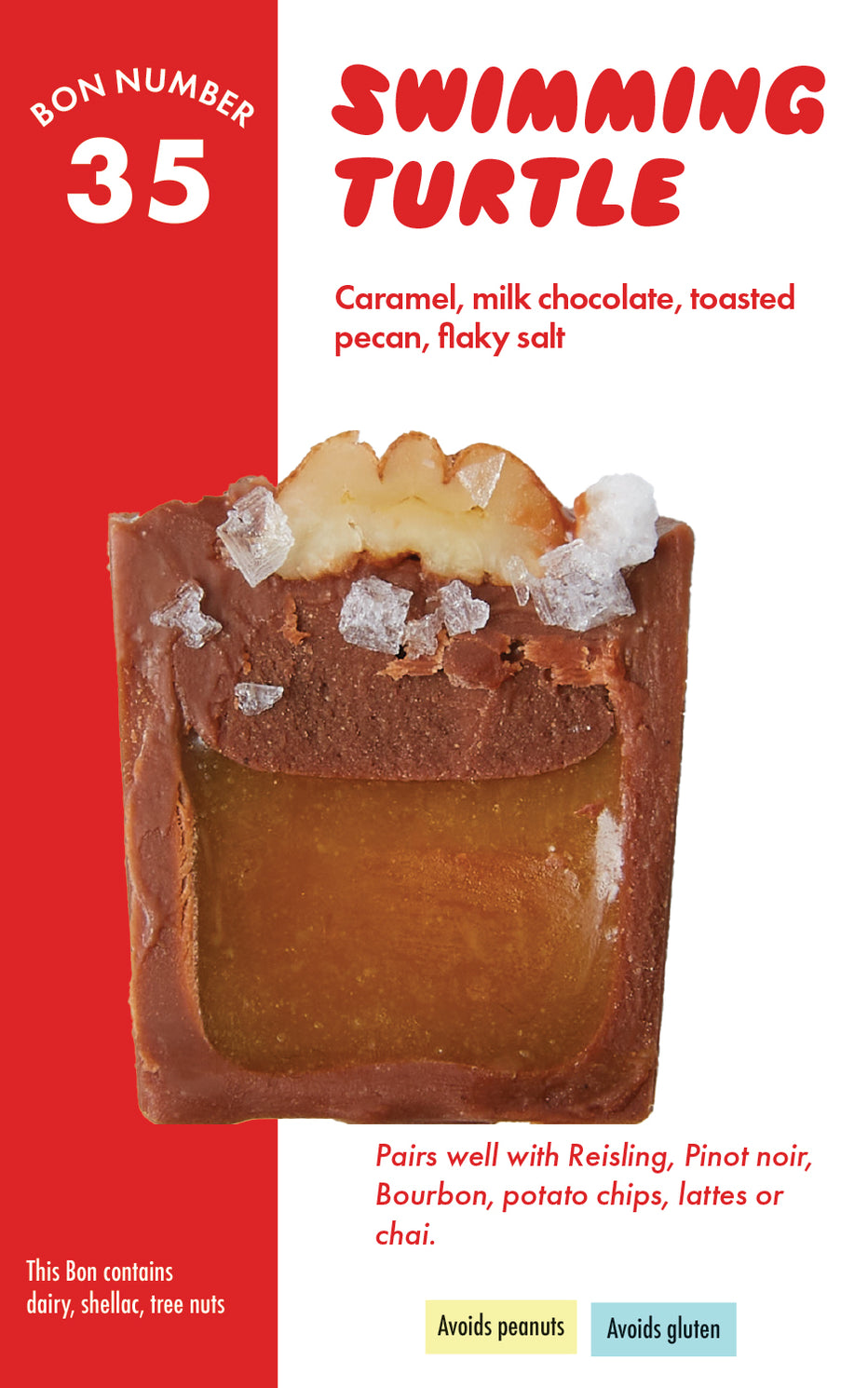 Swimming Turtle – Bon Bon Bon